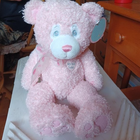 Toys | 18 My First Teddy Pink Plush Nwt | Poshmark